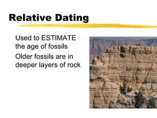 Unit 8 evolution for moodle | PPT