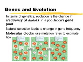 Unit 8 evolution for moodle | PPT