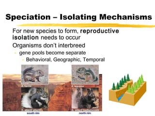Unit 8 evolution for moodle | PPT