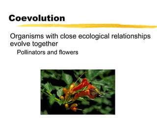 Unit 8 evolution for moodle | PPT