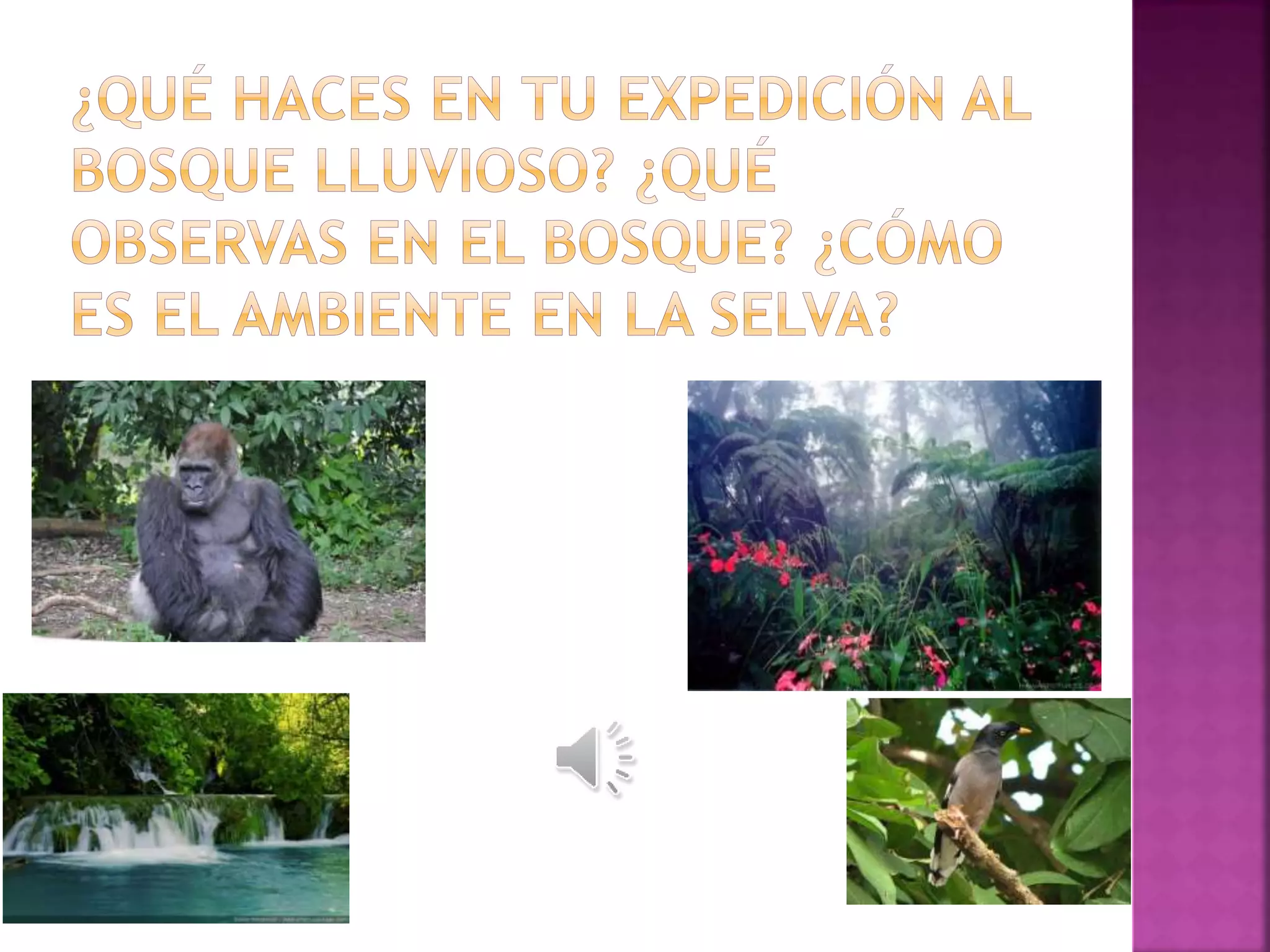 Unit 8 final project | PPTX