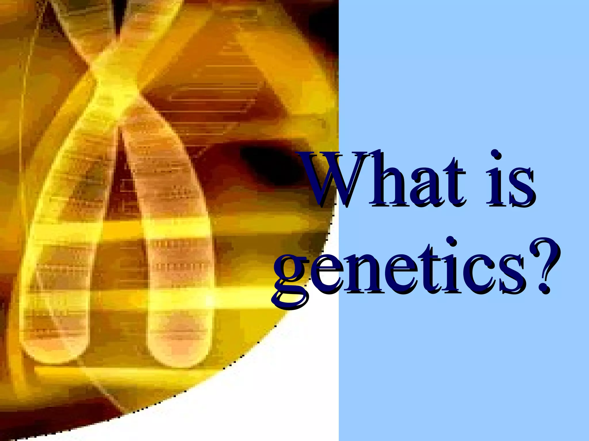 Unit 8 genetics powerpoint (revised 2006) | PPT