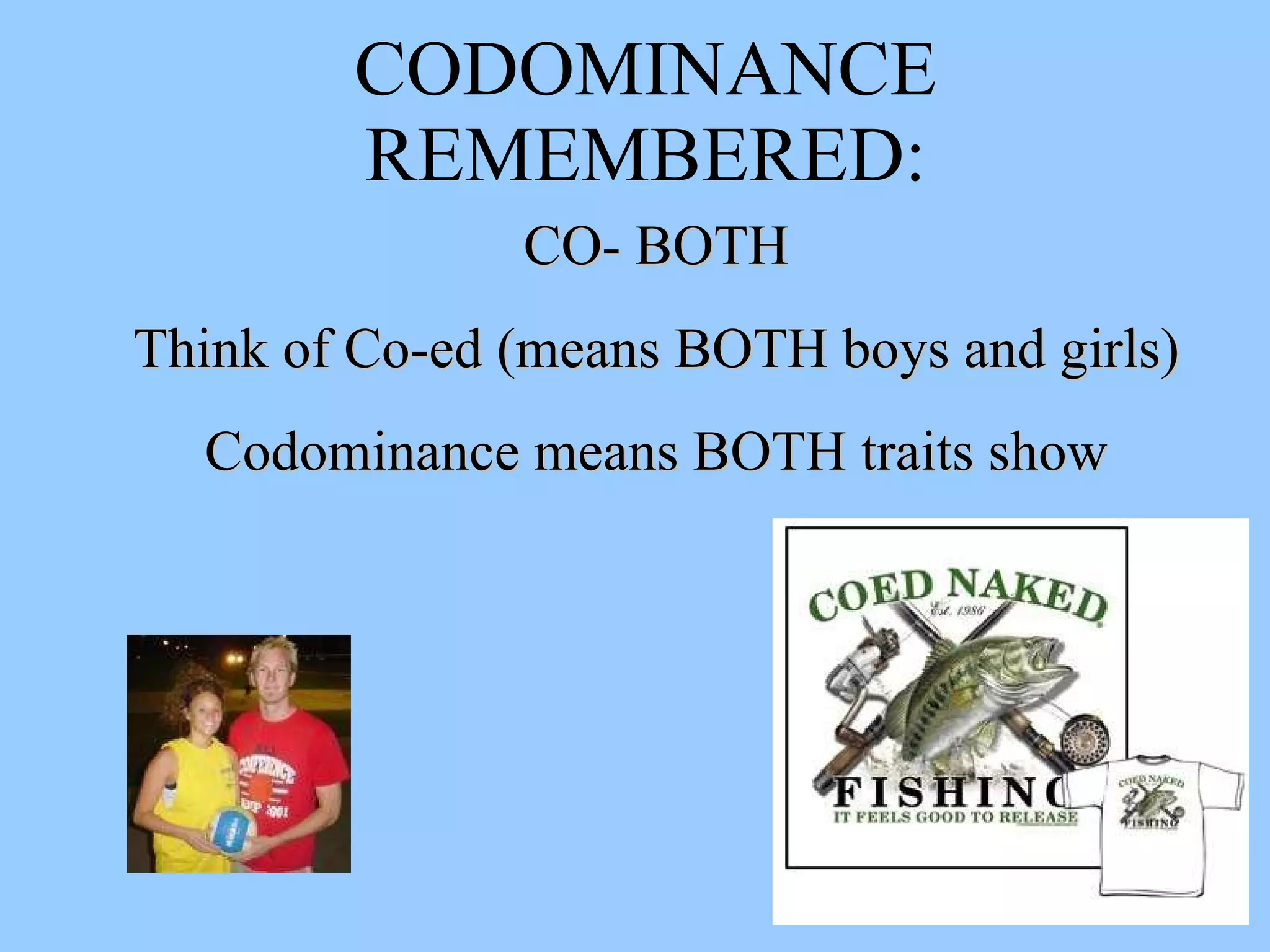 Unit 8 genetics powerpoint (revised 2006) | PPT