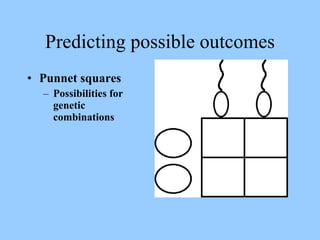 Unit 8 genetics powerpoint (revised 2006) | PPT