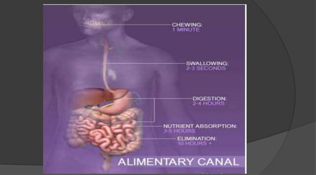 UNIT 8 NURSING ASSESSMENT OF DIGESTIVE SYSTEM.pptx | Digestive ...