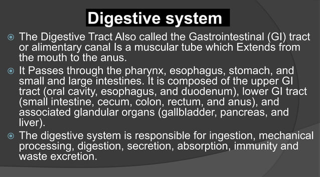 UNIT 8 NURSING ASSESSMENT OF DIGESTIVE SYSTEM.pptx | Digestive ...