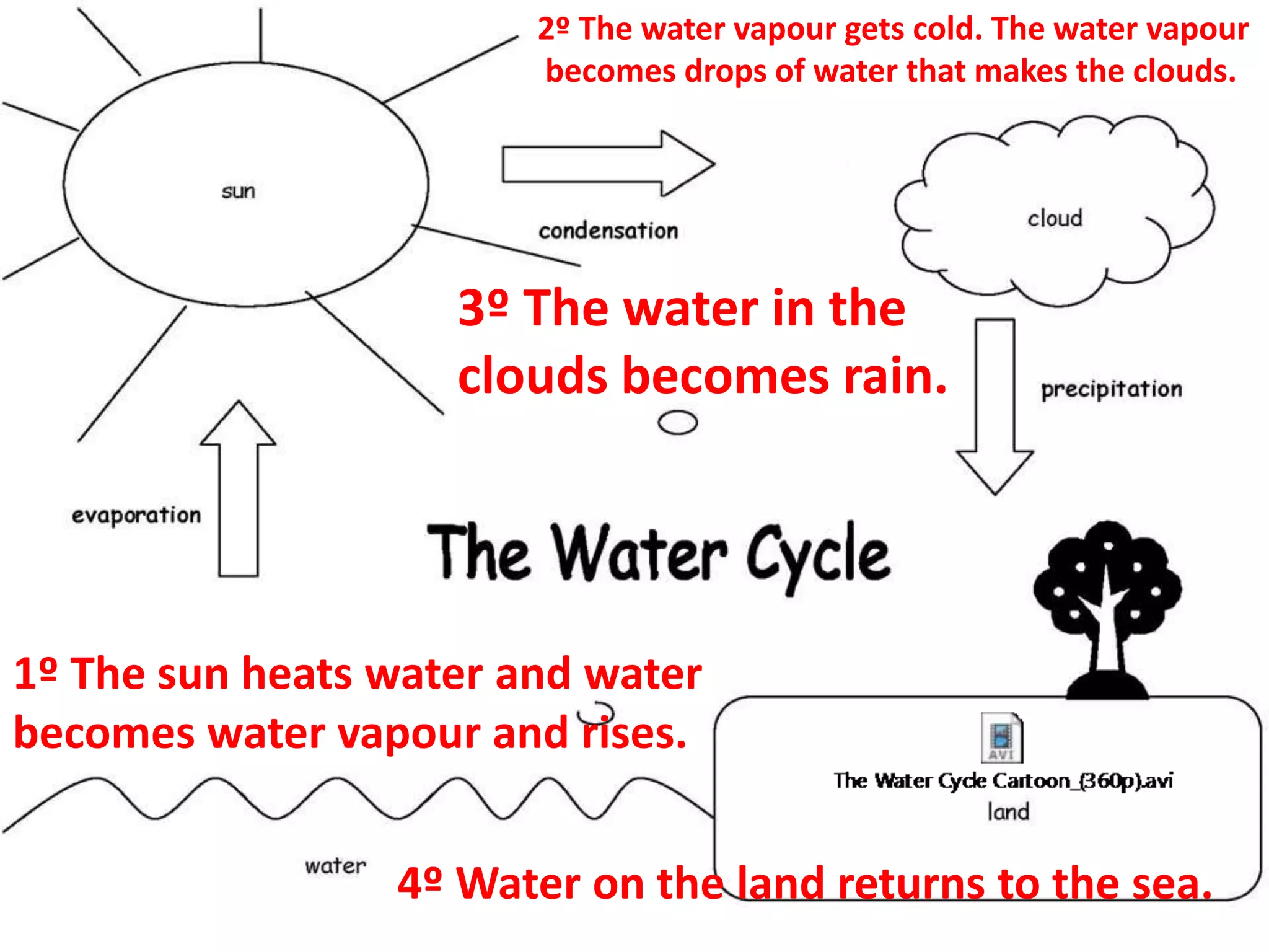 Unit 8 water on earth | PPTX
