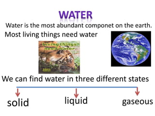 Unit 8 water on earth | PPTX