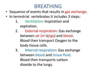 Respiratory system and gaseous exchange | PPTX