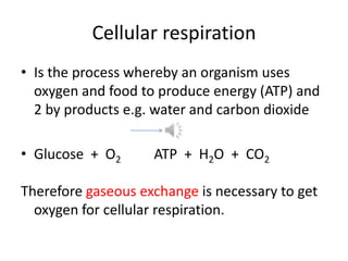 Respiratory system and gaseous exchange | PPTX