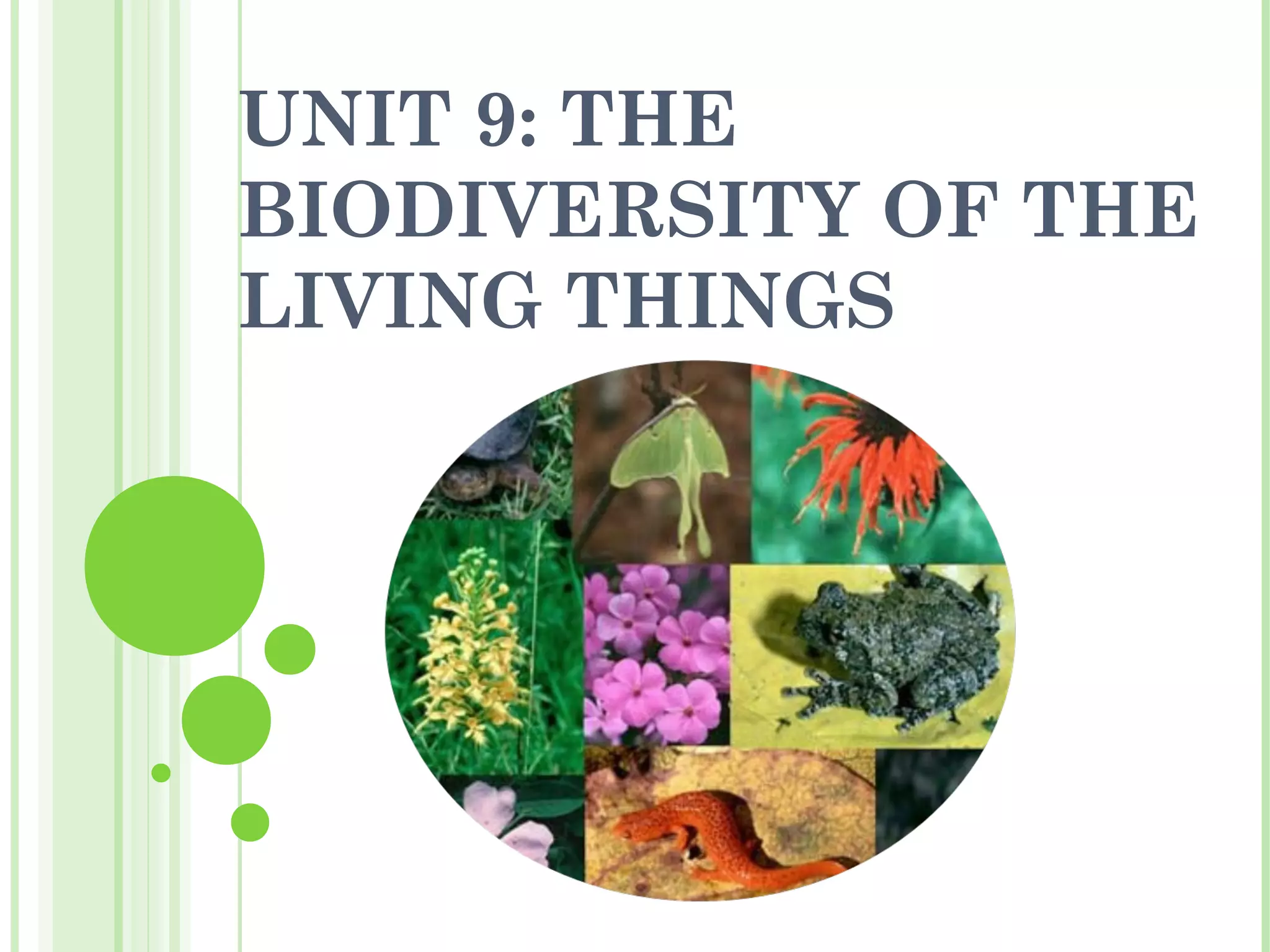 Unit 9. The biodiversity of the living things | PPT