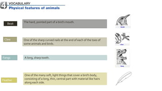 Unit 9 Nature Act Inglés acts lessson ak | PPT