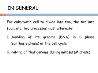 Unit 9. The cell cycle and cell cycle regulation.ppt