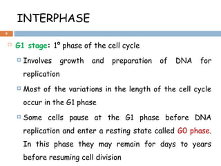 Unit 9. The cell cycle and cell cycle regulation.ppt