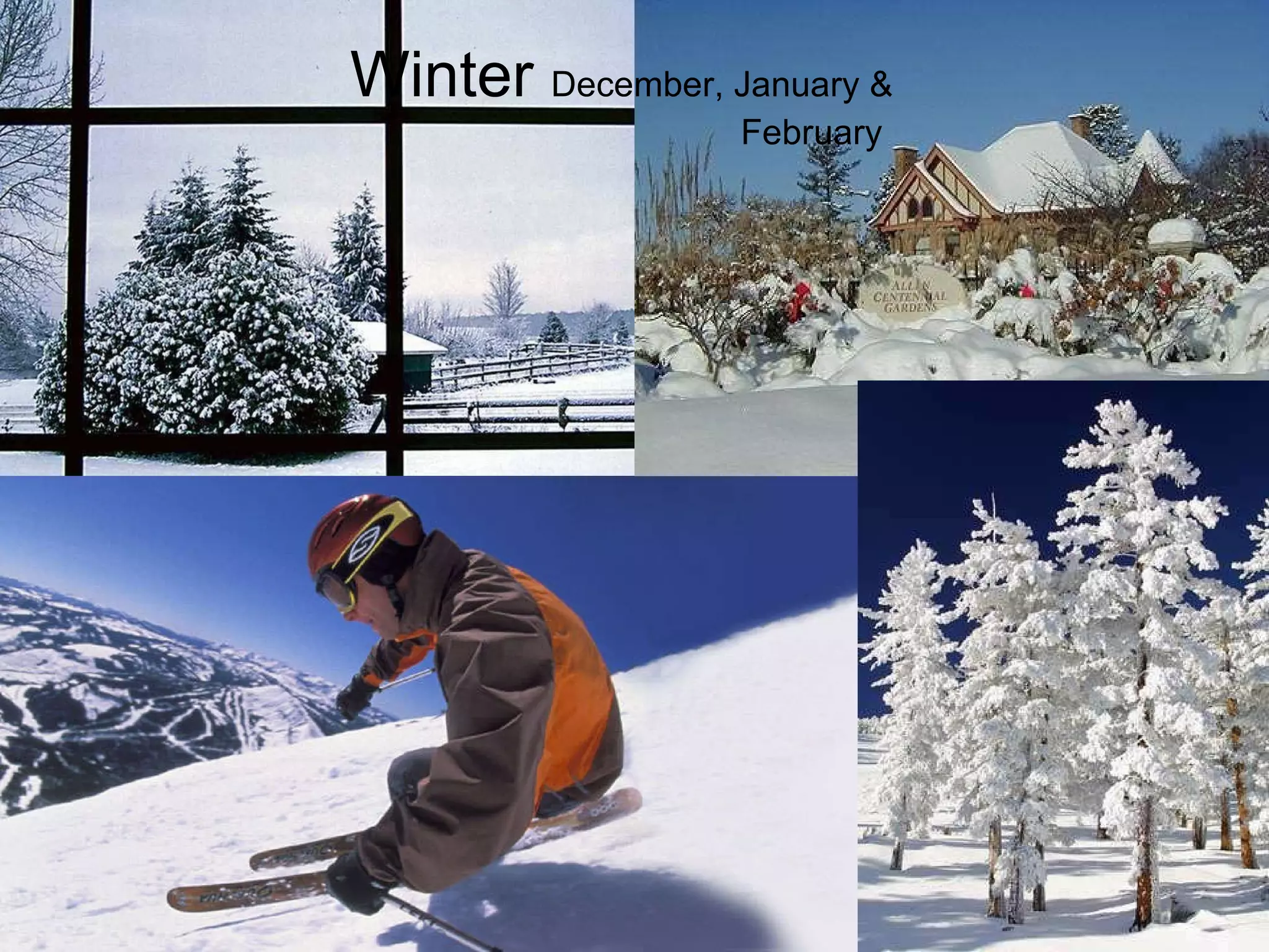The Weather and Seasons | PPT