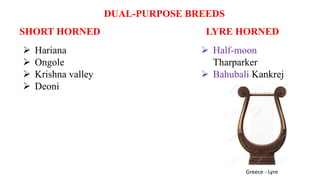 Unit 9 and 10a Cattle and Buffalo breeds.pptx
