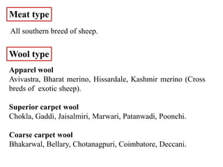 Unit 9 and 10b Sheep breeds.pptx