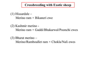 Unit 9 and 10b Sheep breeds.pptx