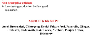 Unit 9 and 10d Swine and Poultry breeds.pptx