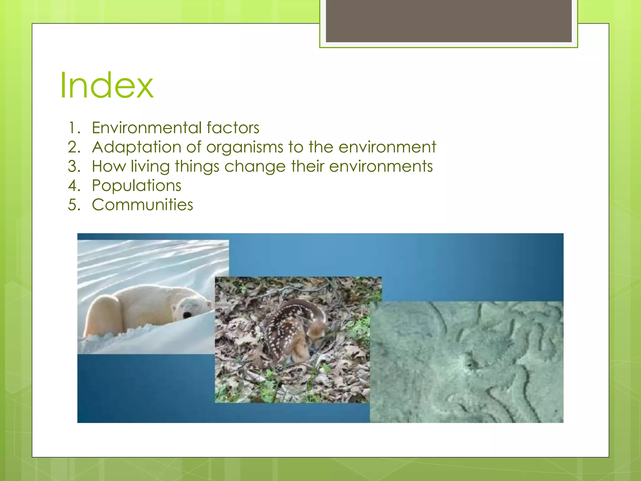 Unit9 Living Things in their Environment | PPTX