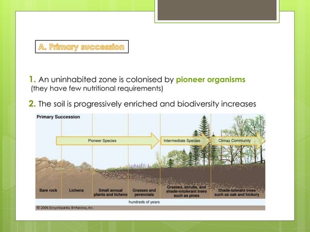 Unit9 Living Things in their Environment | PPTX | Geology | Science
