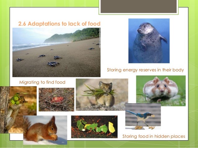 Unit9 Living Things in their Environment