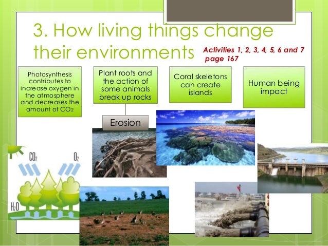 Unit9 Living Things in their Environment