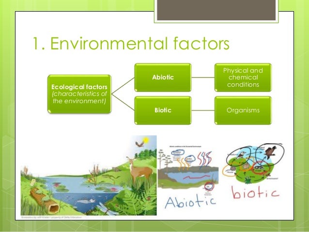 Unit9 Living Things in their Environment