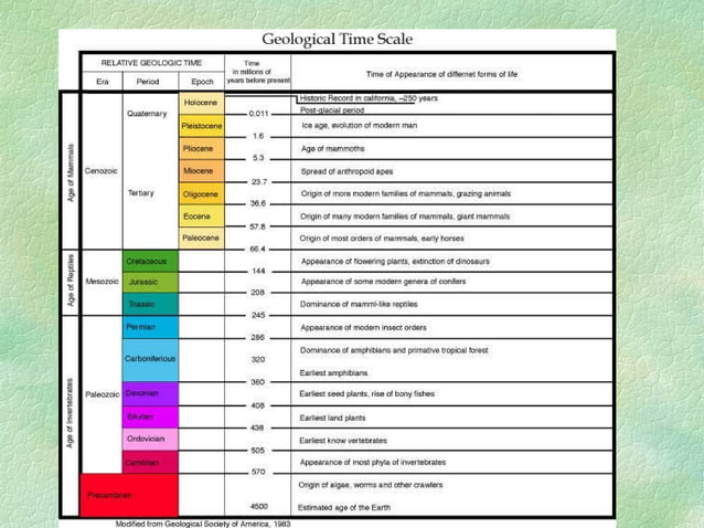 Unit 9 evolution | PPT | Geology | Science