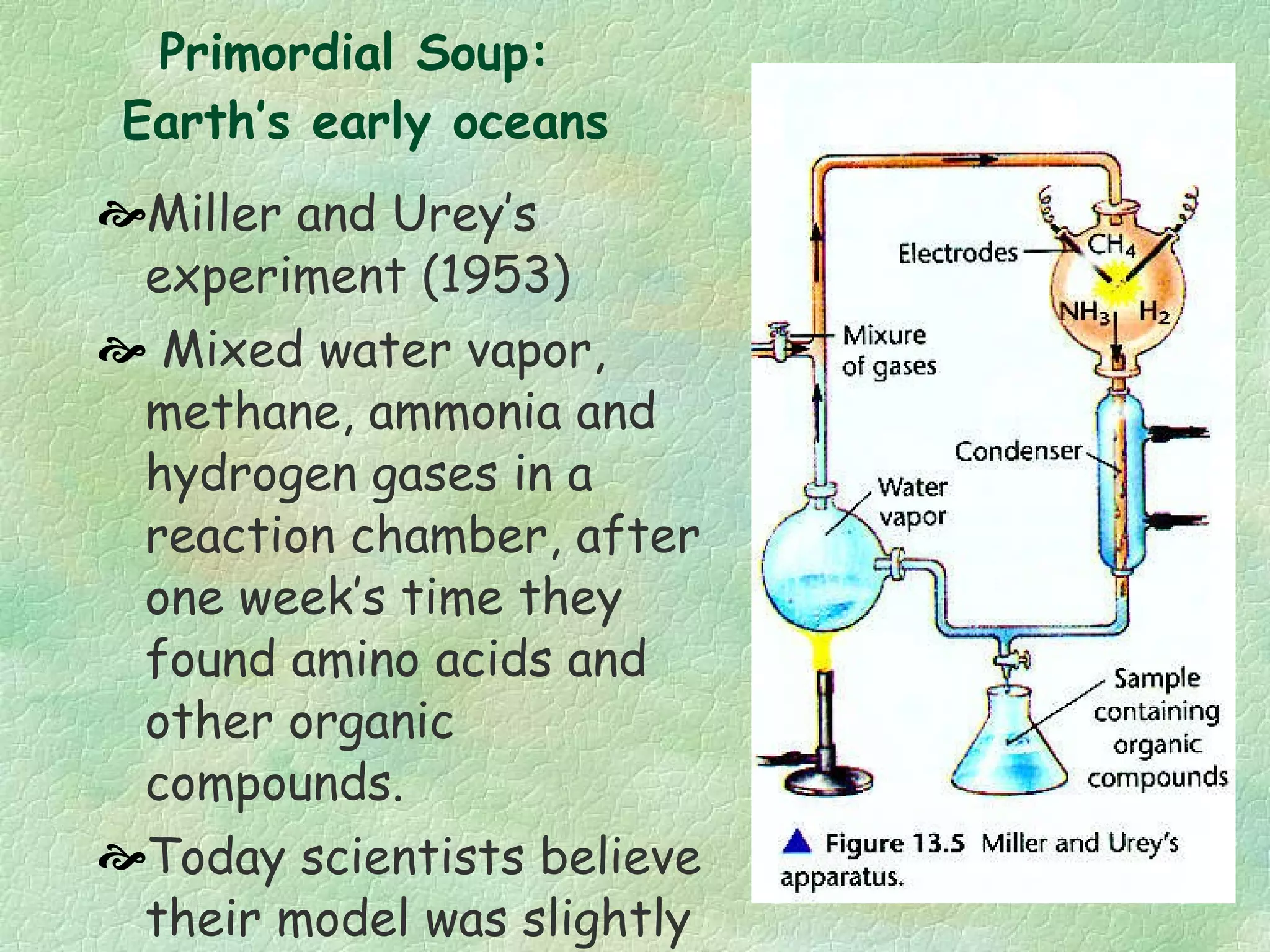 Unit 9 evolution | PPT