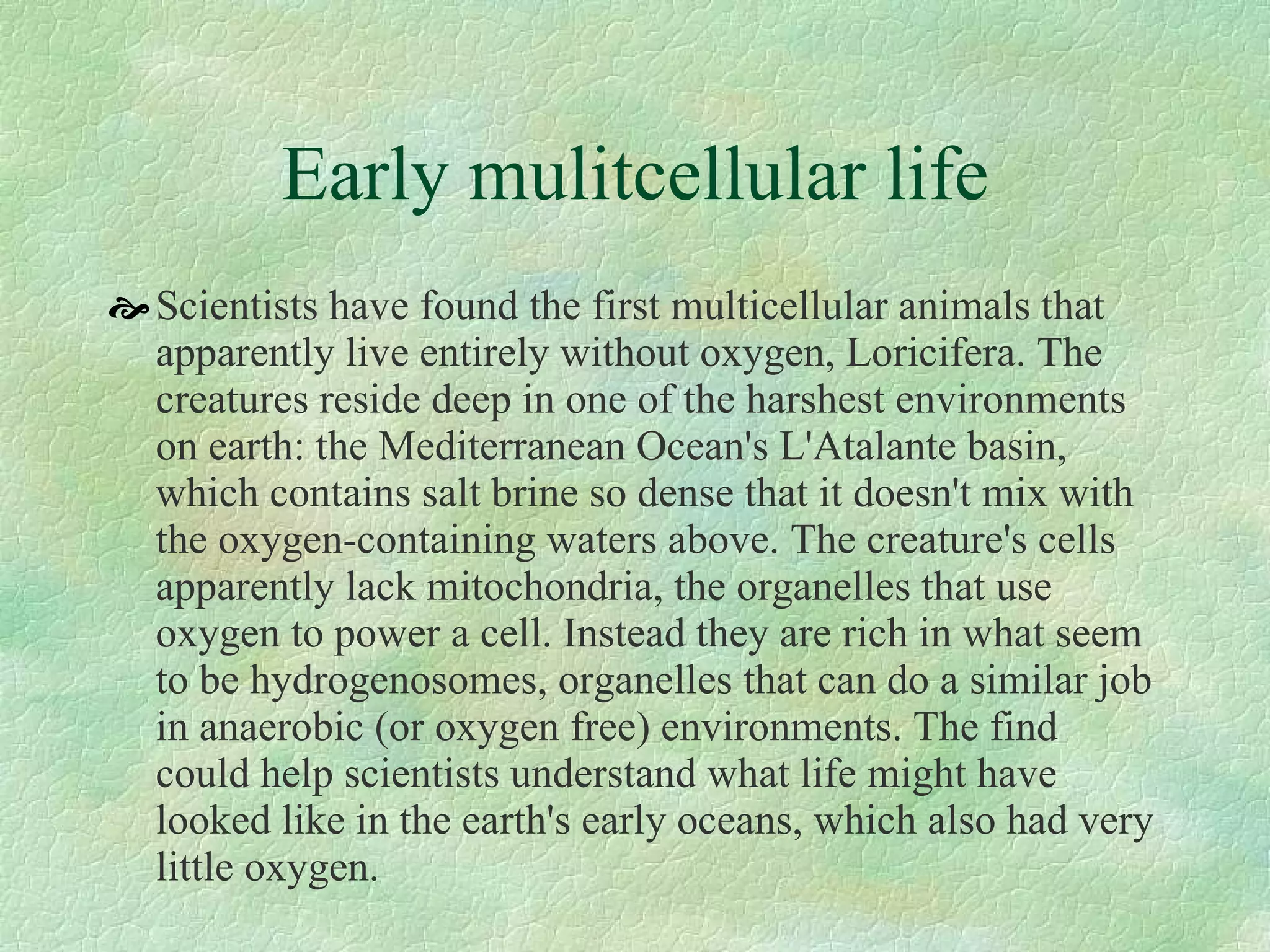 Unit 9 evolution | PPT