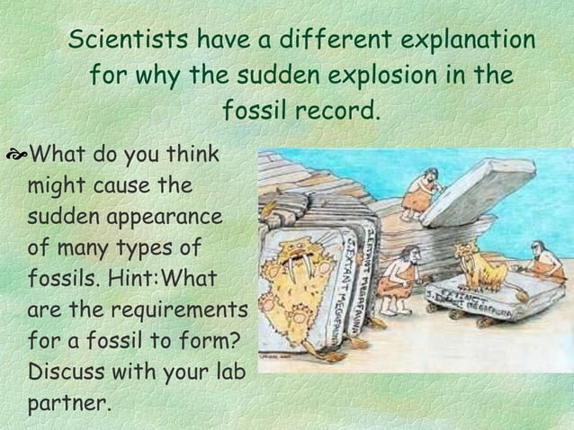 Unit 9 evolution | PPT