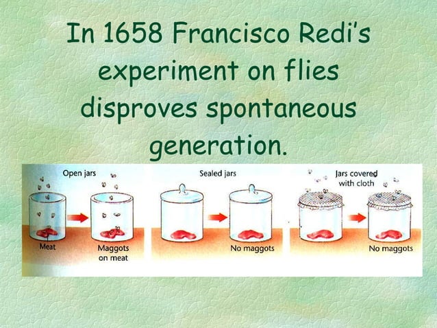 Unit 9 evolution | PPT