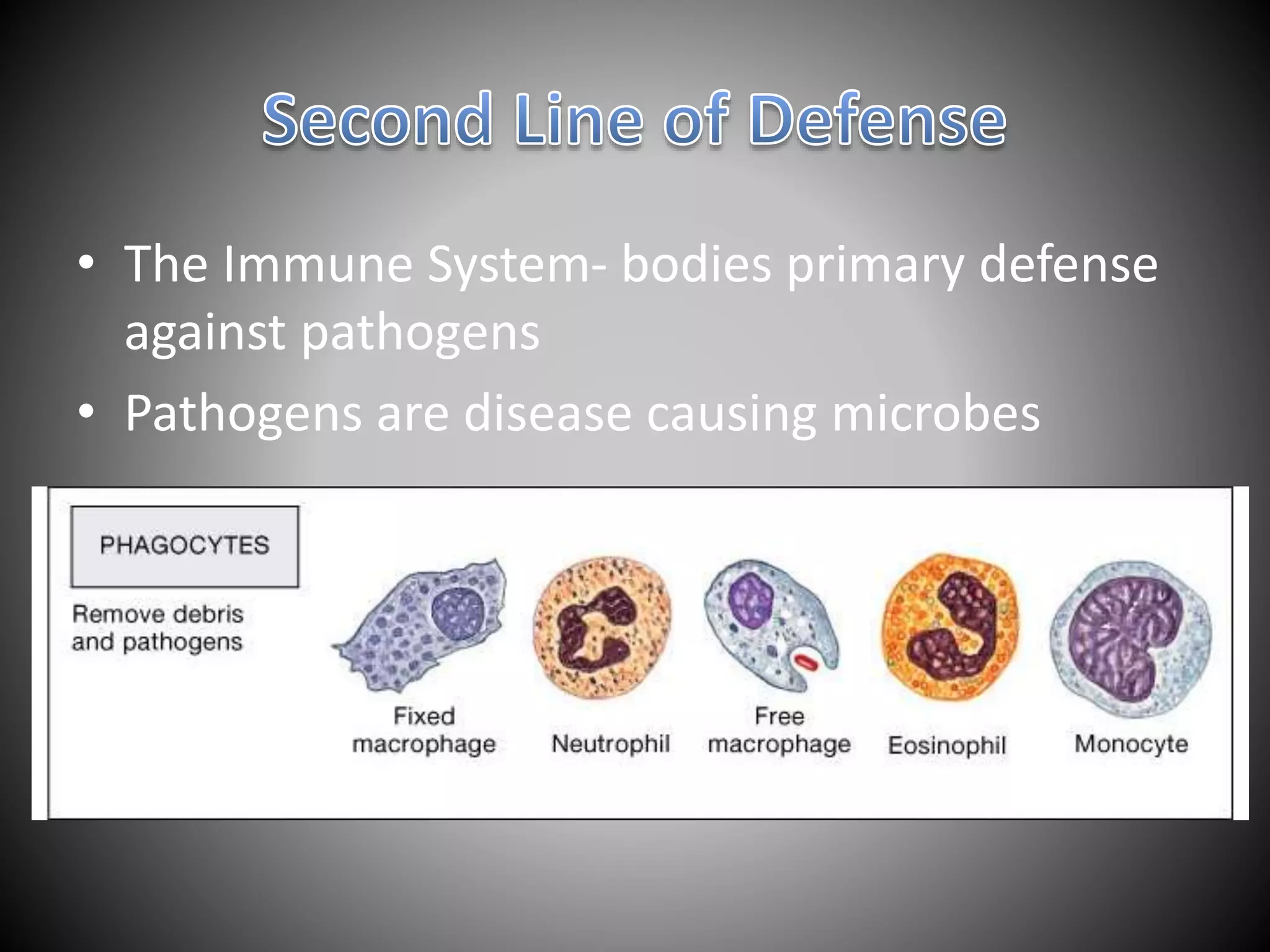 Immune System.pptx