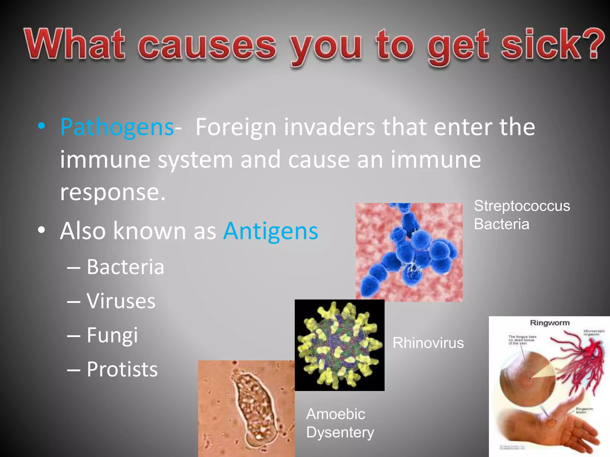 Immune System.pptx