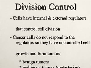 Unit 9, lesson 1 cell cycle mitosis | PPT