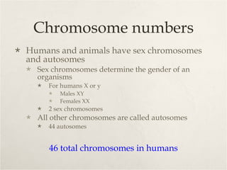 Unit 9, lesson 1 cell cycle mitosis | PPT