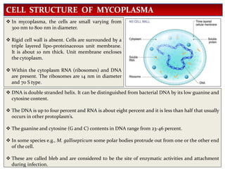 General concept of Mycoplasma and how it is different from bacteria | PDF