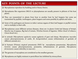 General concept of Mycoplasma and how it is different from bacteria | PDF