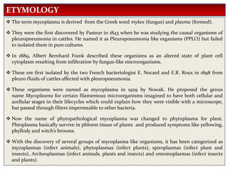 General concept of Mycoplasma and how it is different from bacteria | PDF