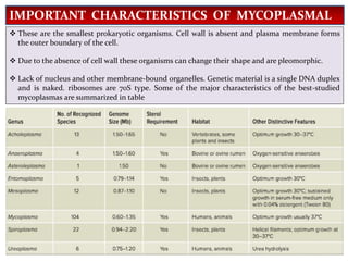 General concept of Mycoplasma and how it is different from bacteria | PDF