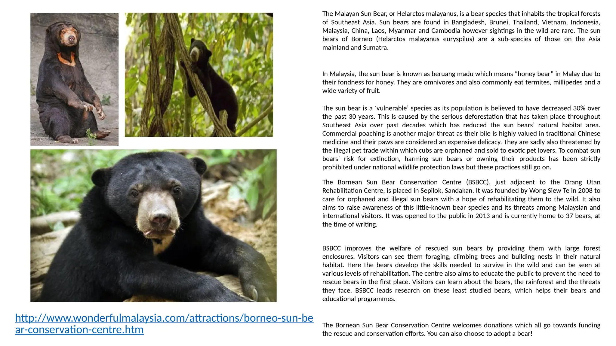 CEFR YEAR 3 UNIT 9 – ON HOLIDAY ACTIVITIES.pptx