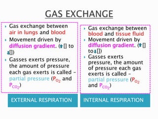Respiratory system and gas exchange | PPTX