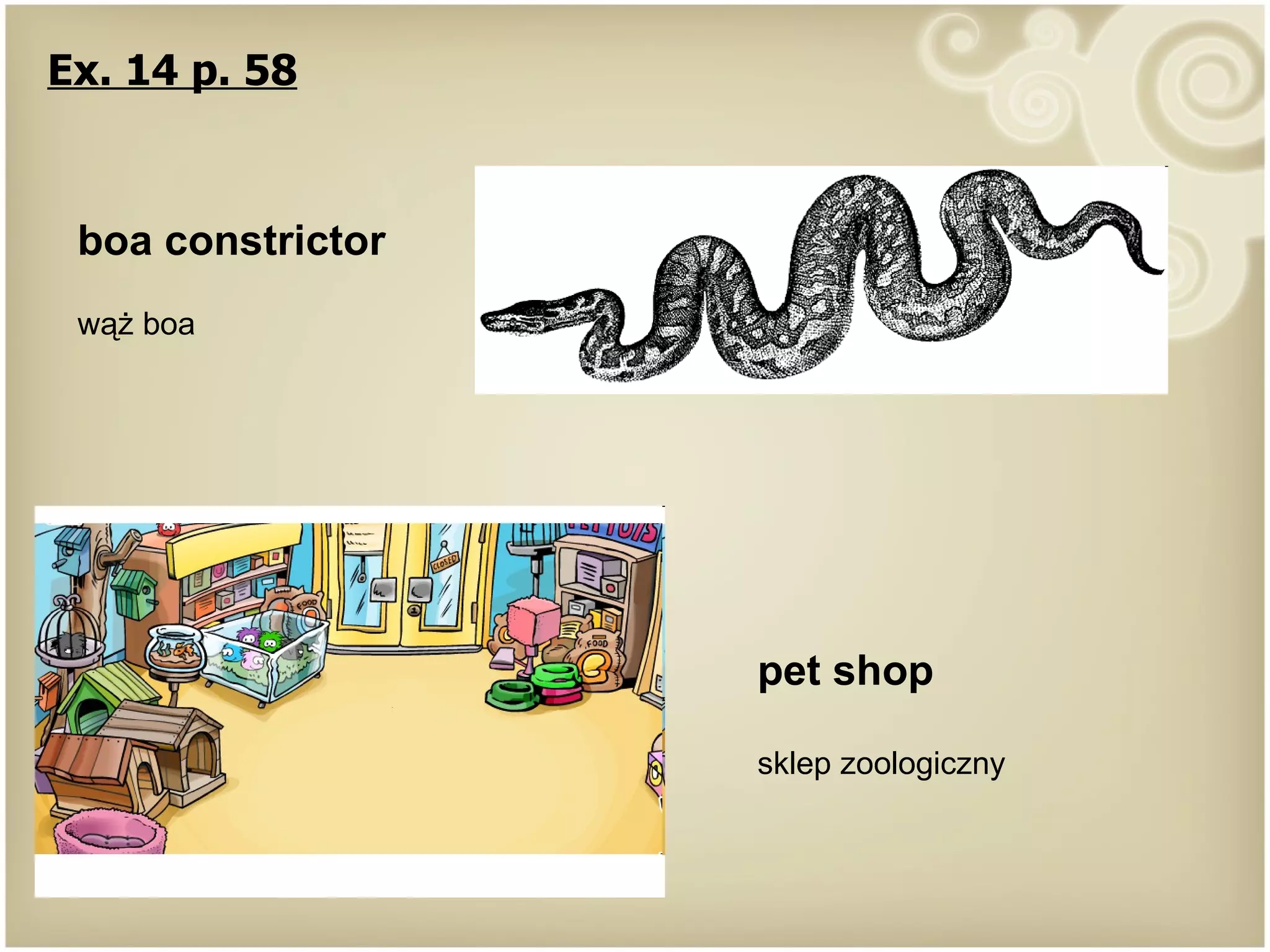 Snapshot Elementary Unit 9 Snakes Alive | PPT | Reptiles | Pets
