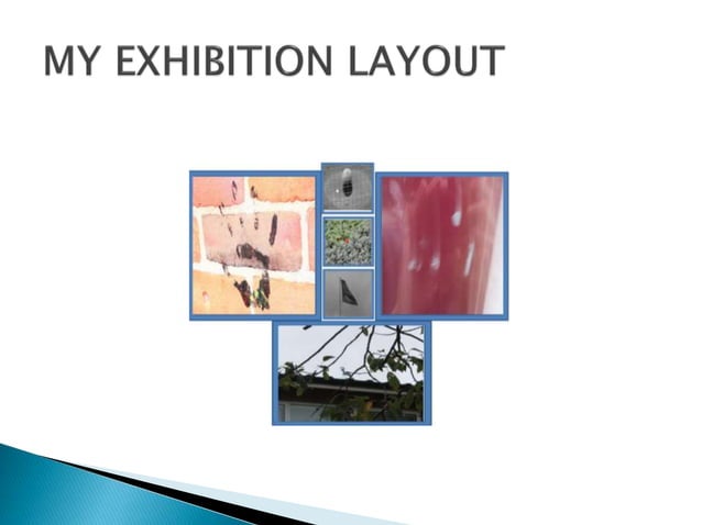 Unit 9 Task 11 - Feedback | PPT