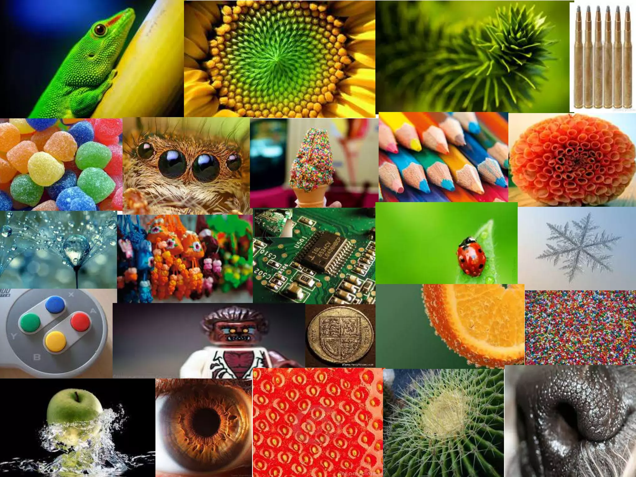 Unit 9 task 6 | PPTX