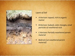 Unit 9 Weathering.pptx