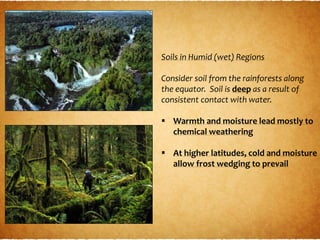 Unit 9 Weathering.pptx