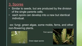 Unit a biologicaldiversitynotes | PPT