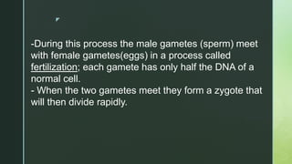 Unit a biologicaldiversitynotes | PPT